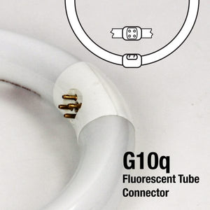 22W T9 CIRCULAR FLURO 6500K